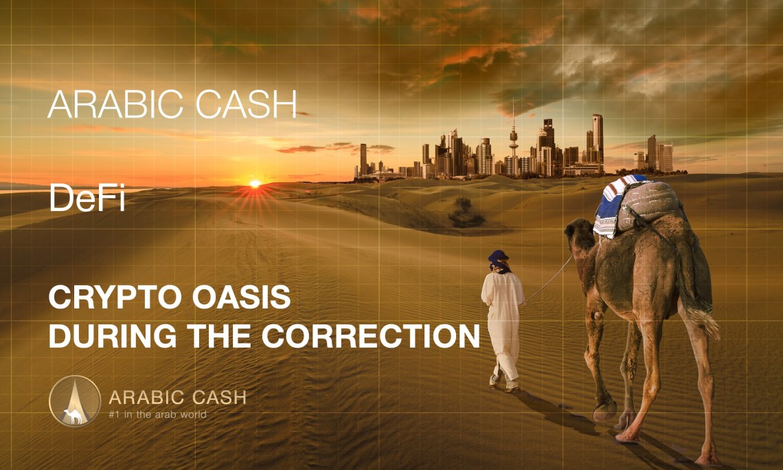 Arabic Cash — An Oasis at the Correction Time: Why Is It Better to Wait Out the Storm of the ...