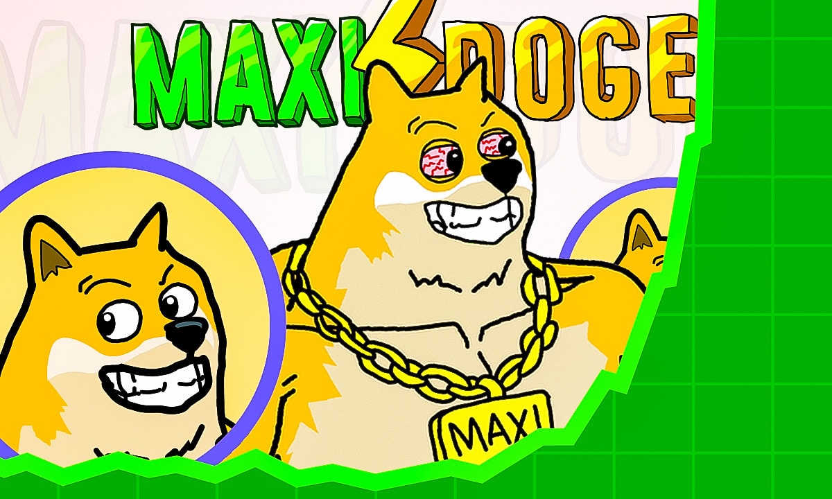 Maxi Doge: ¿El Shiba Inu Musculoso que Conquistará el Mundo Cripto en ...