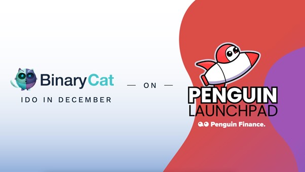 The Binary Cat IDO Is On the December Calendar! | NewsBTC