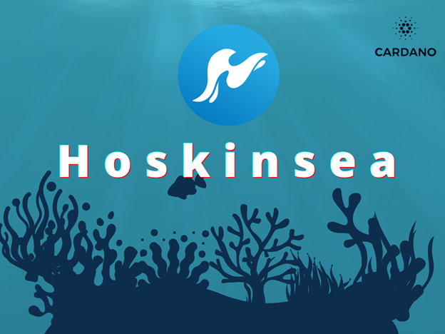 Announcing the $HSK Curation Token and Hoskinsea NFT Marketplace on ...
