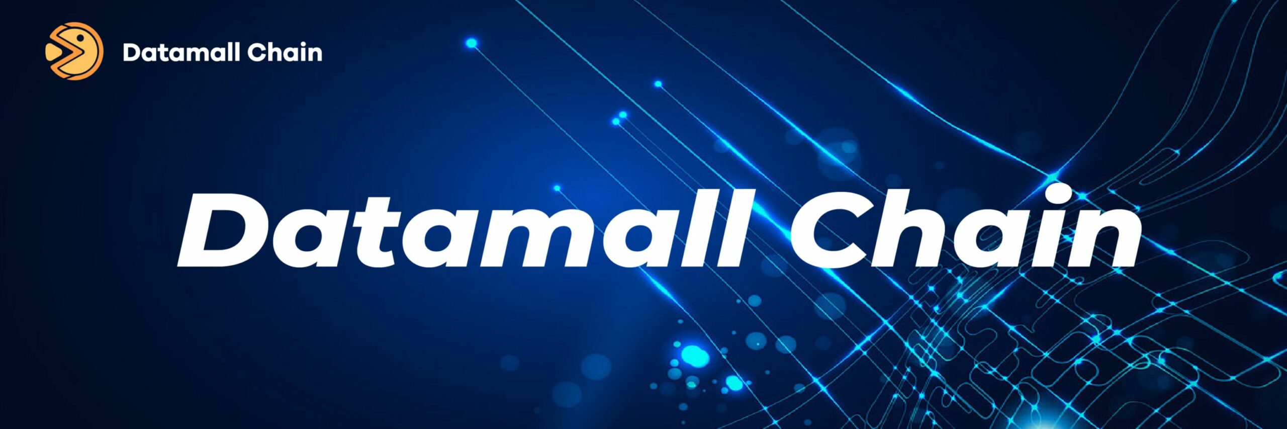 Making Web3 and Decentralized Storage Mainstream: How Datamall Chain is ...