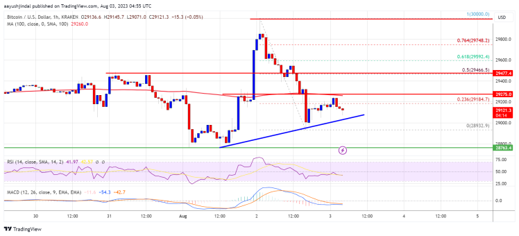 Bitcoin Price Stuck In Range, But Here’s Why Bulls Are Safe