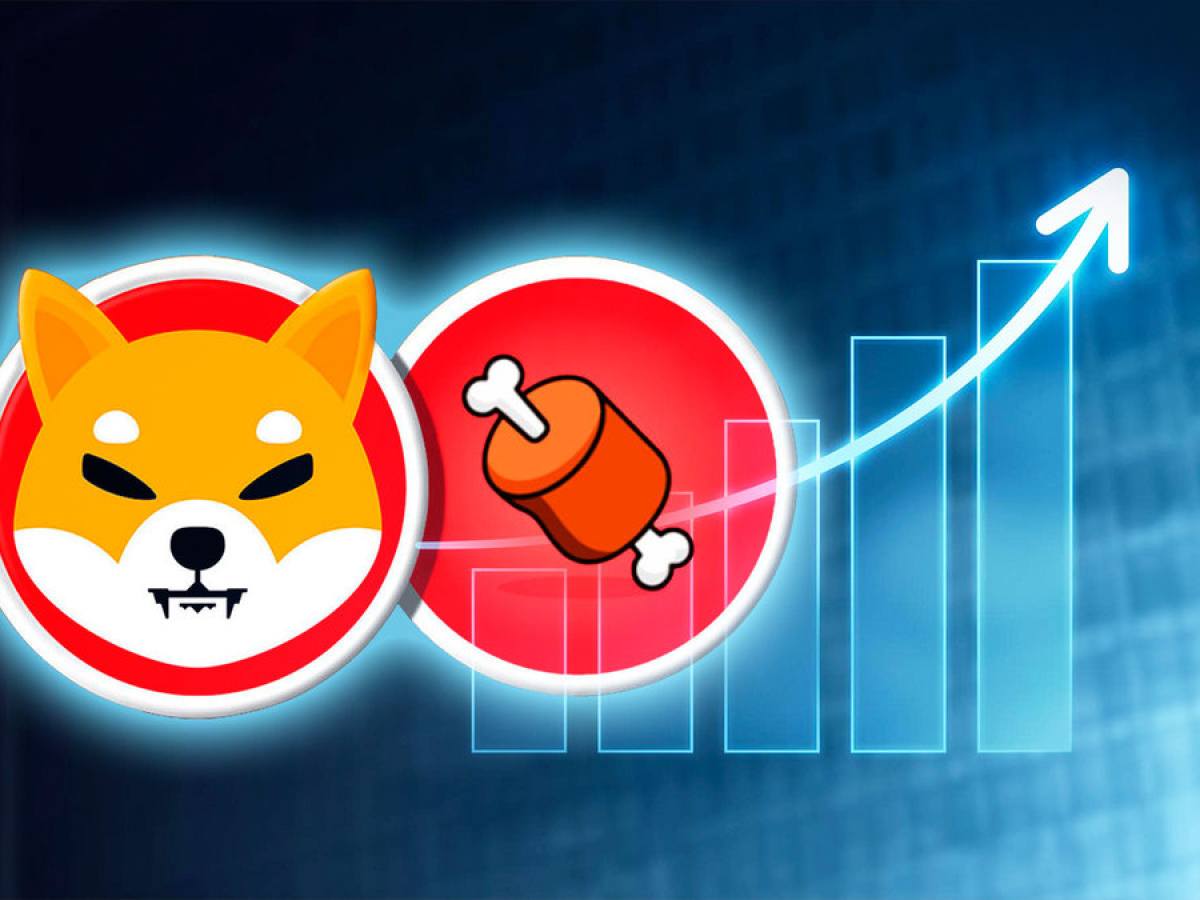 Bone ShibaSwap News Today | Latest BONE News | NewsBTC