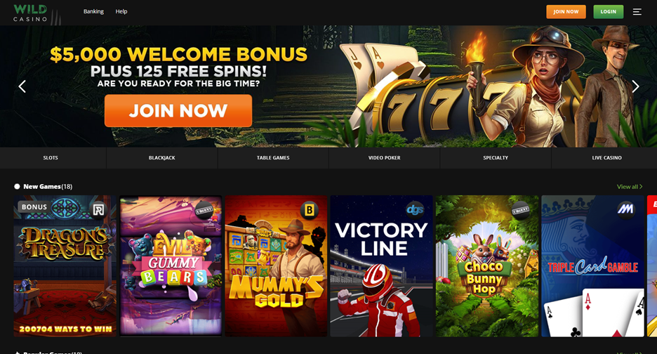 Best Payout Online Casinos | Top 10 Highest Paying Casinos