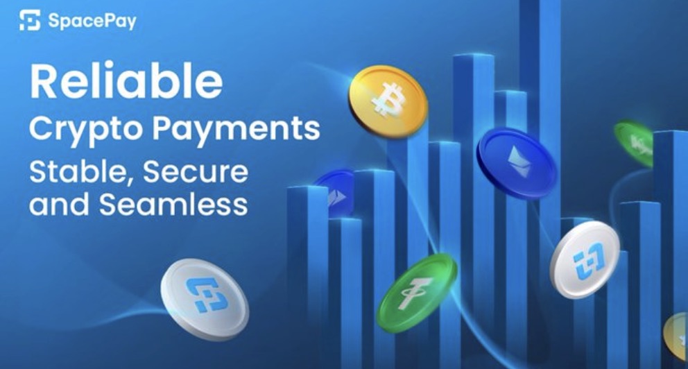 SpacePay vs Traditional Payment Systems: Why Banks Take Days While ...
