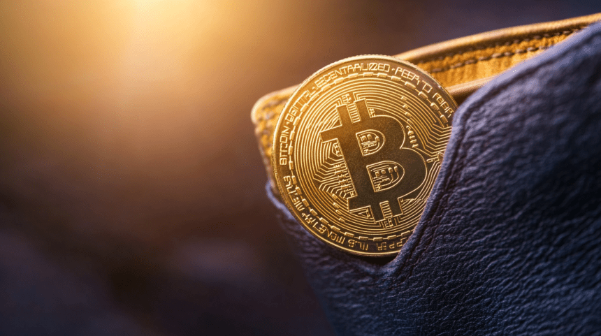 Best Bitcoin Wallets to HODL and Secure Your Crypto in 2025