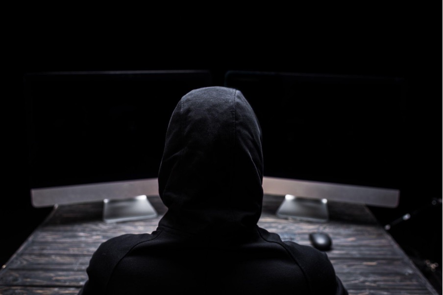 Introducing “the Fastest DeFi Meme Dog” this Side of the Moon, PDOG